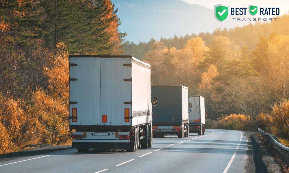 Removal Companies Comparison: Best Rates without the Long Research